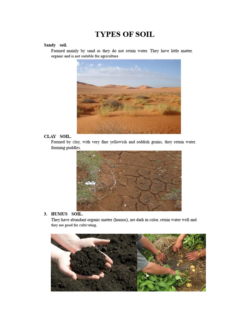 Types of Soil | PDF