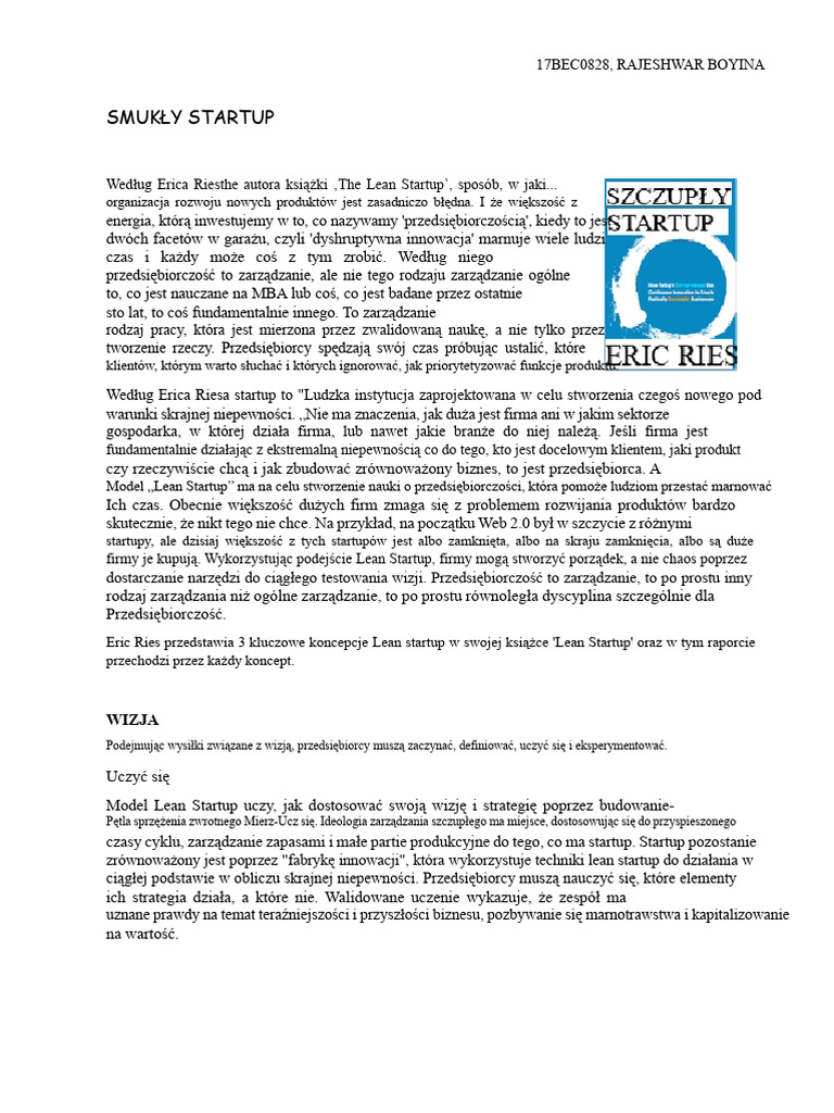 Lean Startup | PDF