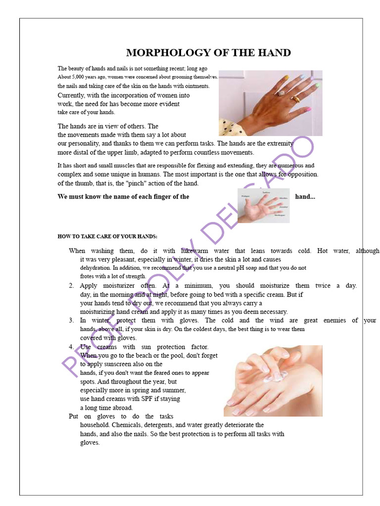 Morphology of The Hand | PDF | Nail (Anatomy) | Hand