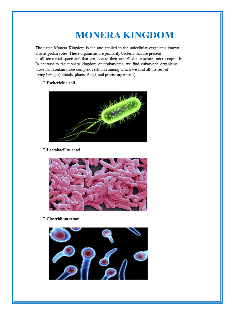 Monera Kingdom | PDF