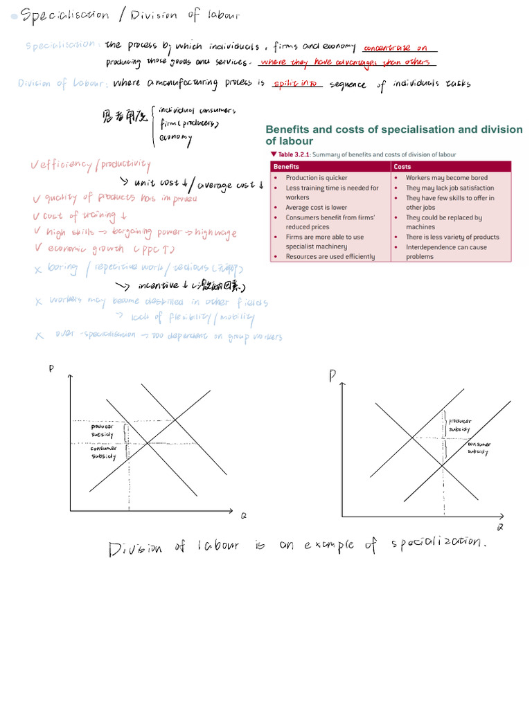 Specialization - Division of Labour | PDF | Labour Economics ...