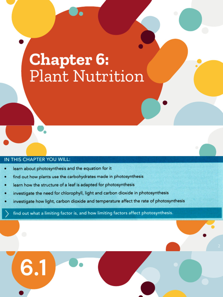 Understanding Plant Nutrition Basics | PDF | Photosynthesis | Leaf