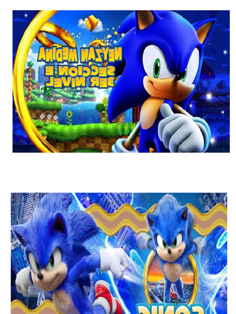 Modelo Sonic | PDF