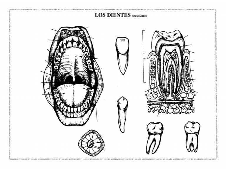 Los Dientes Sin Nombres | PDF