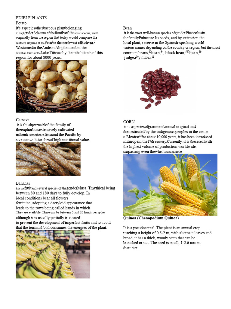 Edible Plants and Wild Animals Overview | PDF | Cereals | Oat