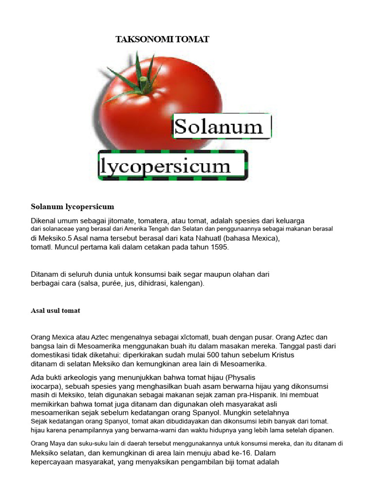 Taksonomi Tomat | PDF