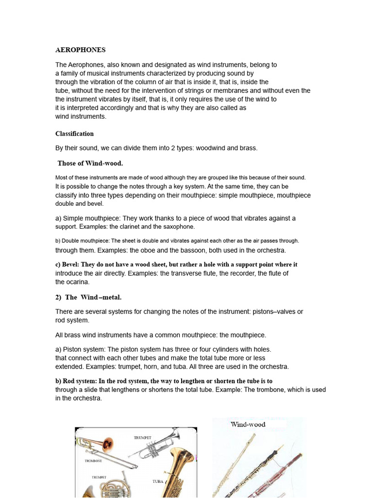 AEROPHONES | PDF | String Instruments | Musical Instruments