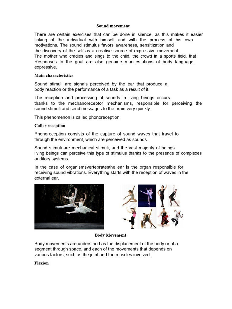 Sound Movement | PDF | Anatomical Terms Of Motion | Neuroscience