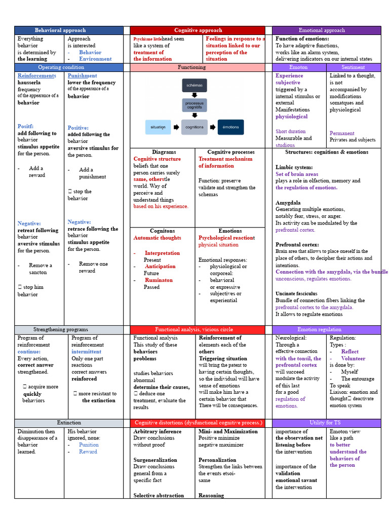 Understanding Behavioral and Cognitive Approaches | PDF | Emotions ...