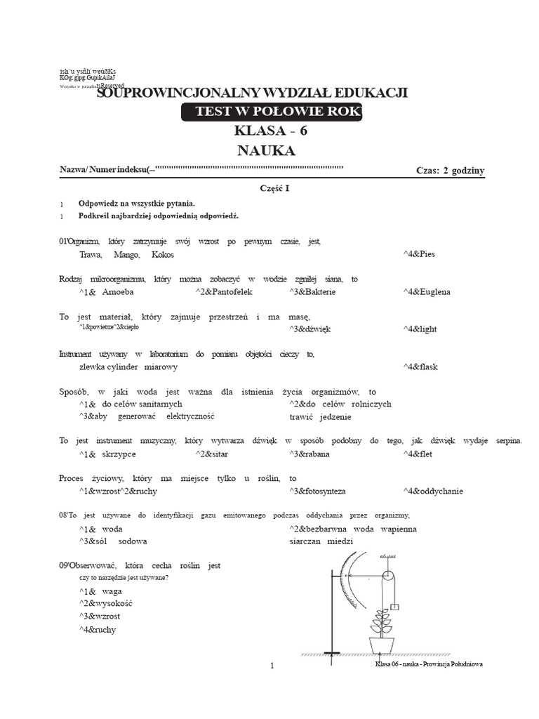 G6 - Ocena Drugiego Semestru (2019) - Południowy Departament Edukacji | PDF