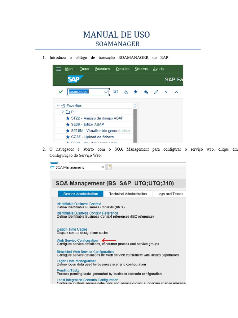 Guia de Configuração do SOAMANAGER | PDF