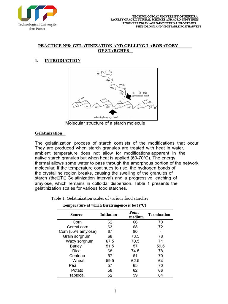 Gelatinization and Gelification of Starches Laboratory Practice | PDF | Starch | Chemistry
