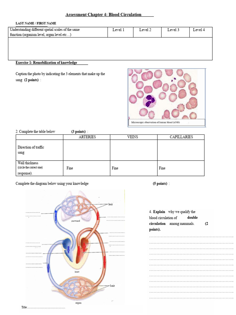 Evaluation Circulation (5.C4) | PDF | Circulatory System | Angiology