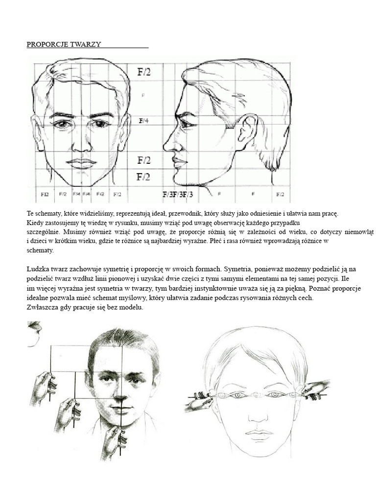 Proporcje Twarzy | PDF