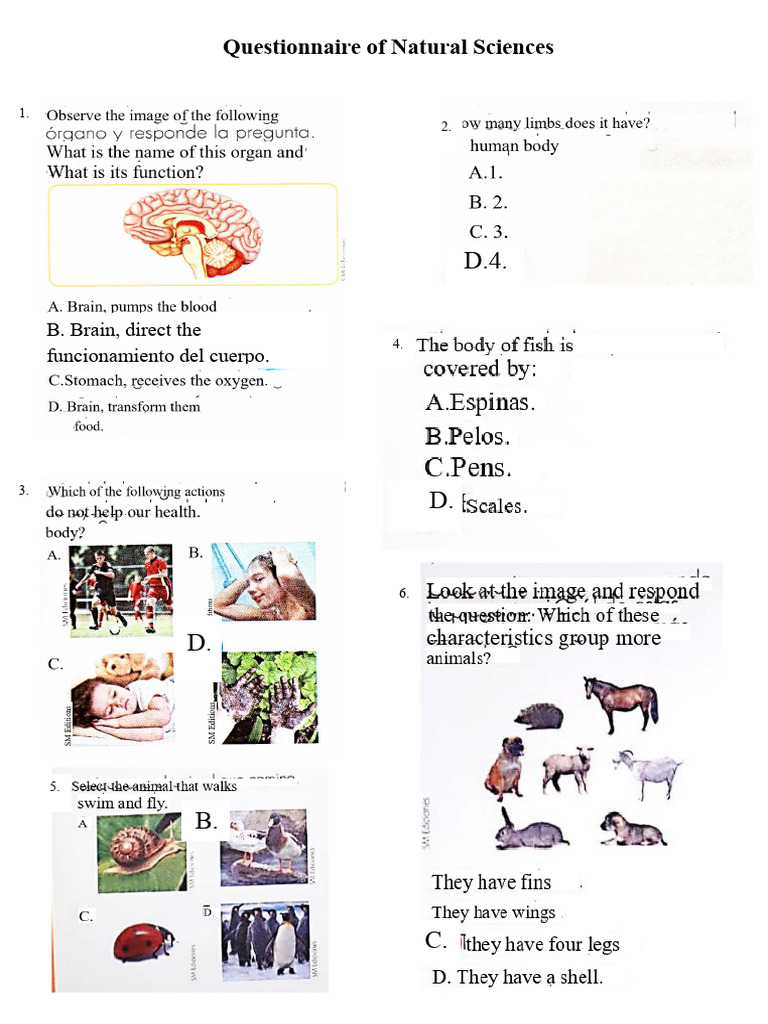 Resolved-Natural Sciences Exam Questionnaire PDF | PDF
