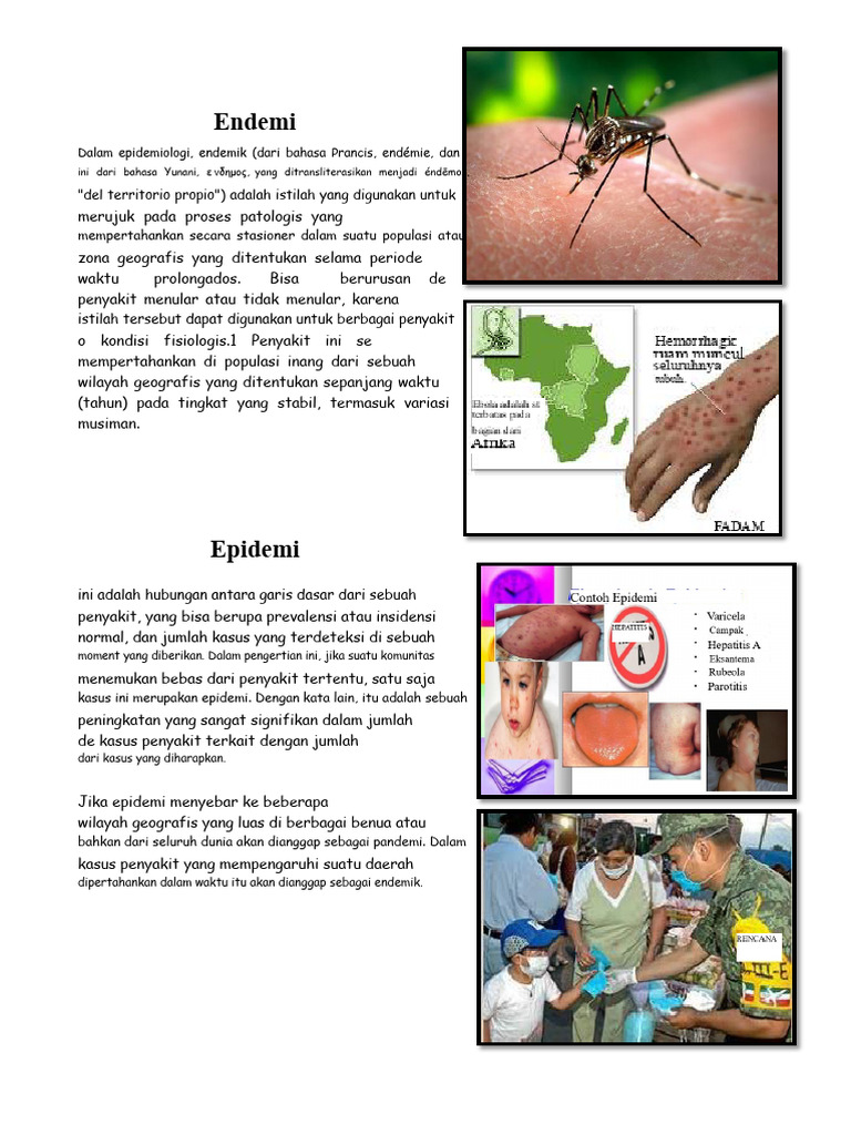 Endemik + Epidemi + Pandemi Konsep Dan Gambar | PDF