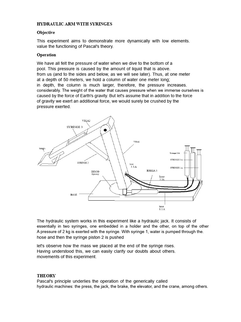 HYDRAULIC ARM WITH SYRINGES Sanjose | PDF | Pressure | Force