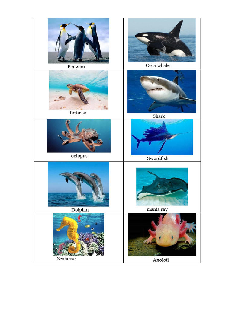 Terrestrial and Aquatic Animals | PDF