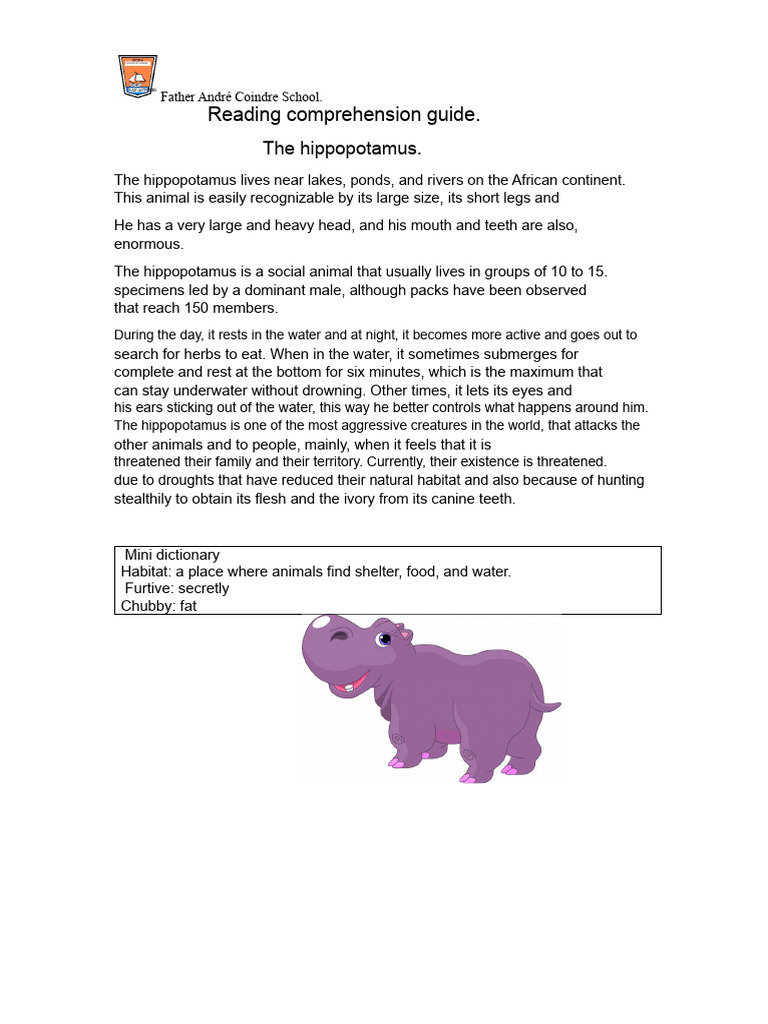 C. Reading The Hippopotamus | PDF