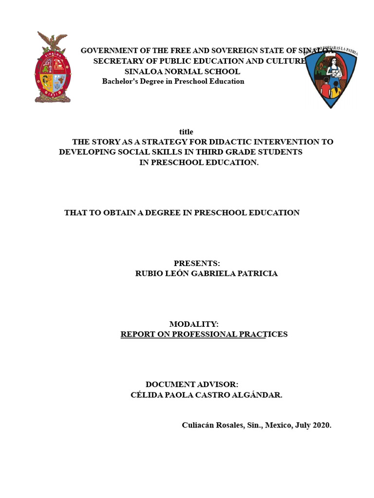 Professional Practice Report | PDF | Curriculum | Methodology