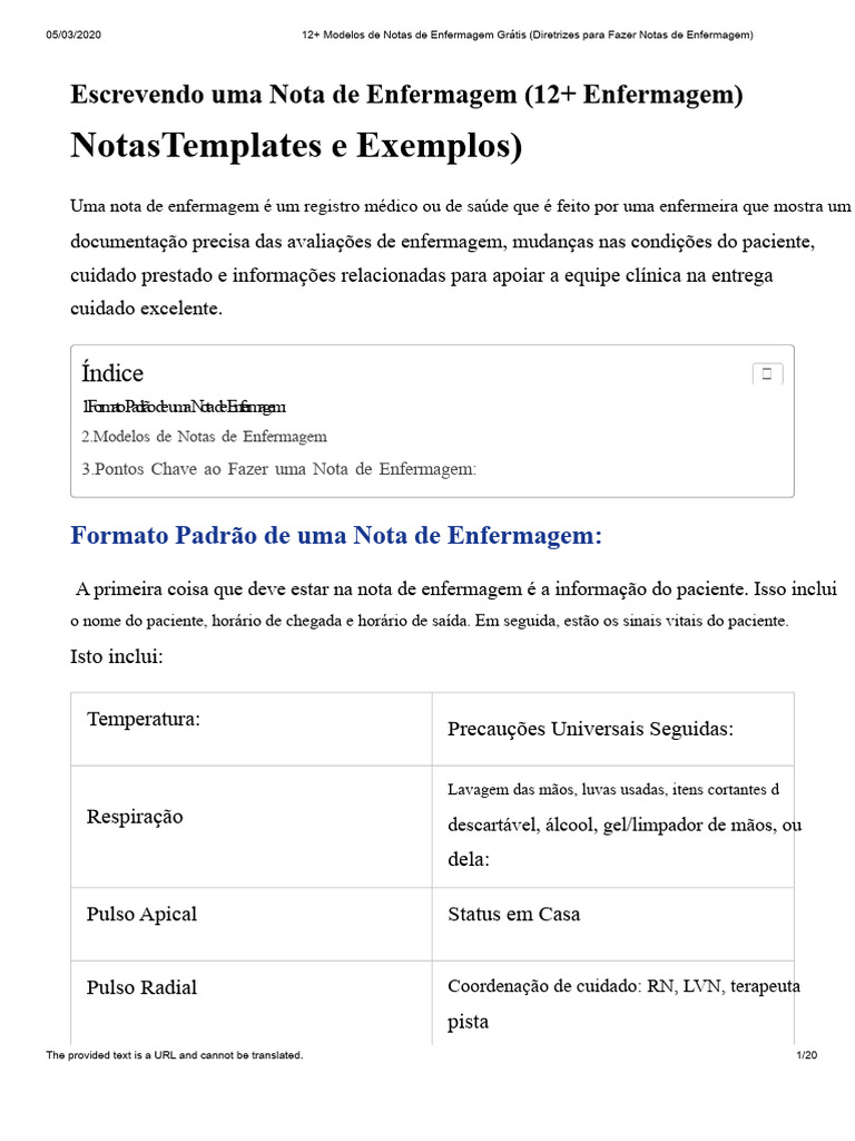 Modelos de Notas de Enfermagem (Diretrizes para Fazer Notas de Enfermagem) PDF | PDF ...