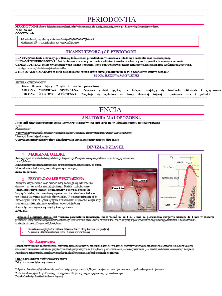 Periodontologia Podsumowanie | PDF