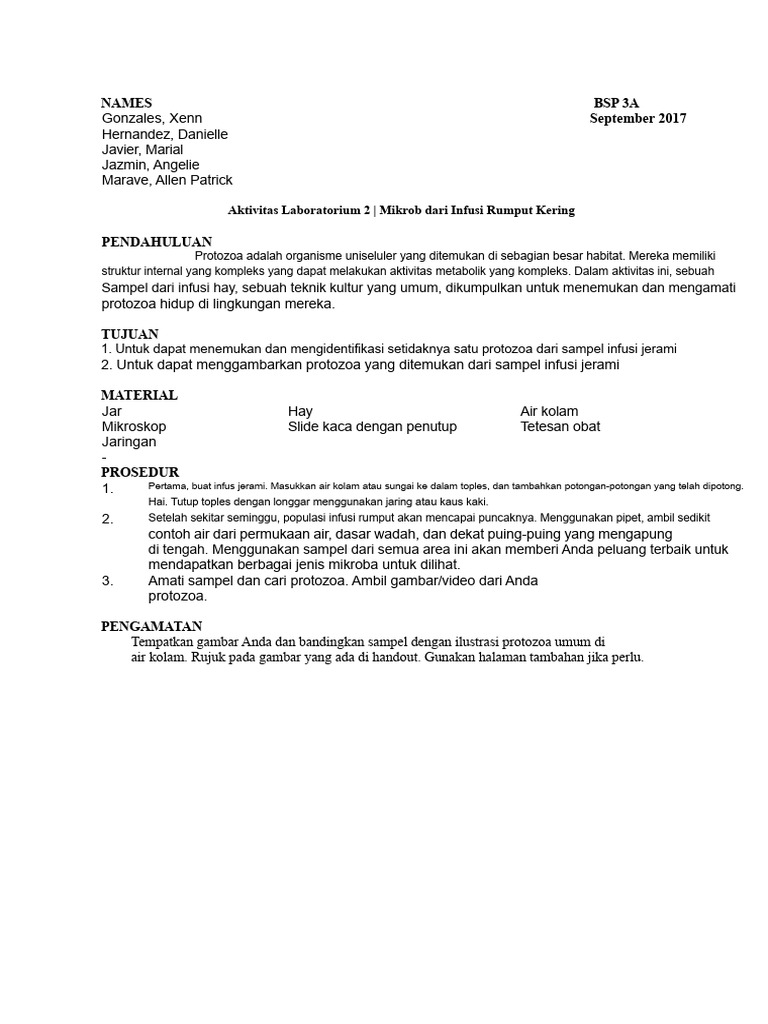 LabAct Hay Infusion | PDF