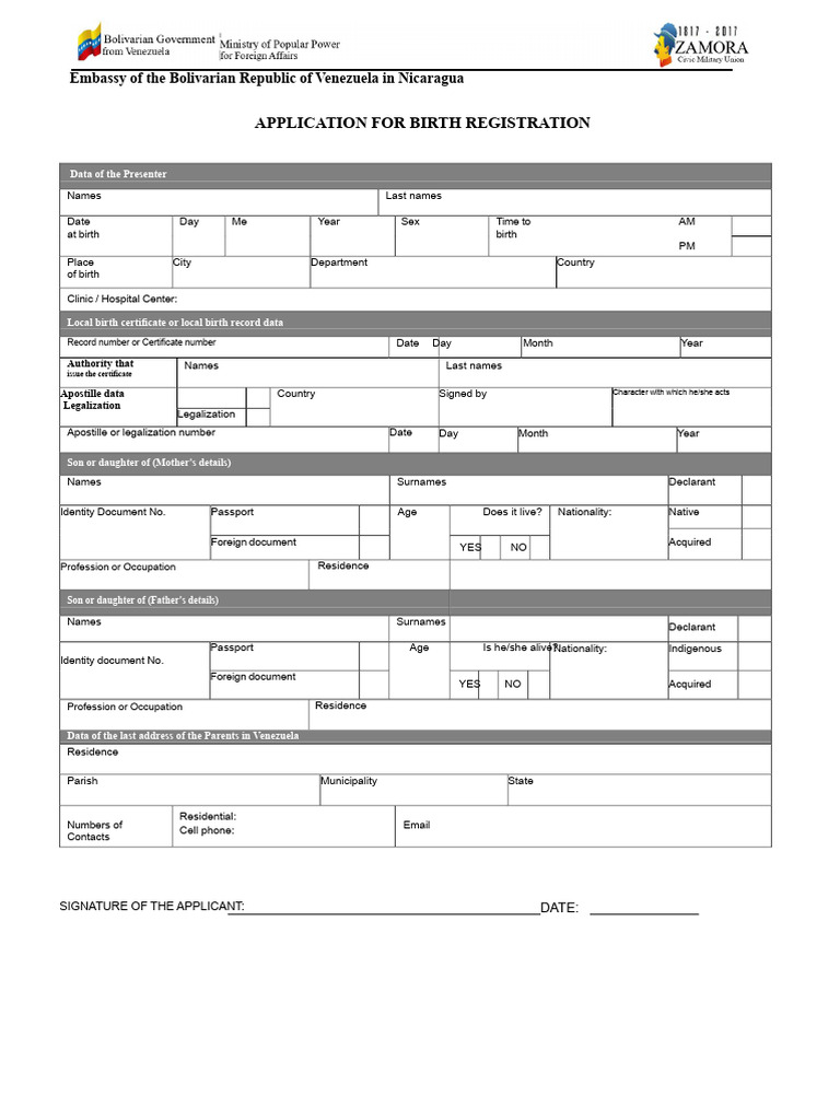 Consular Birth Registration Form | PDF | Birth Certificate | Identity Document