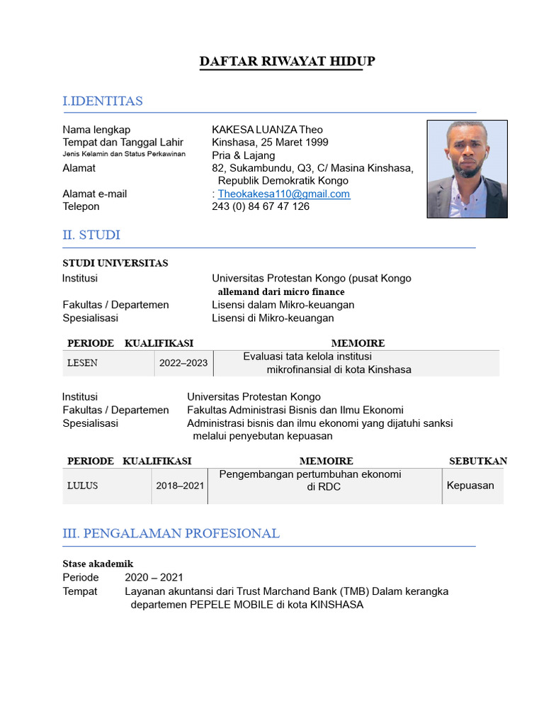 CV Theo Kakesa | PDF