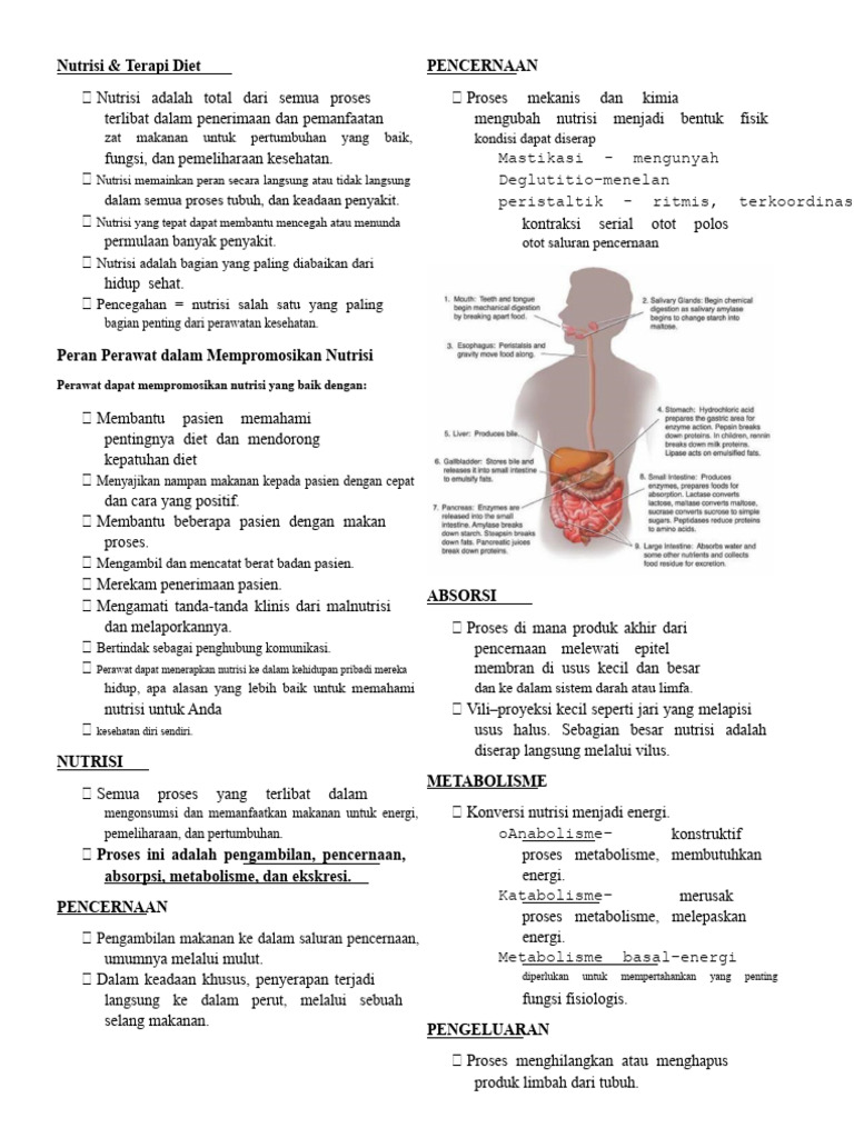 Nutrisi & Terapi Diet (Catatan Pertama) | PDF