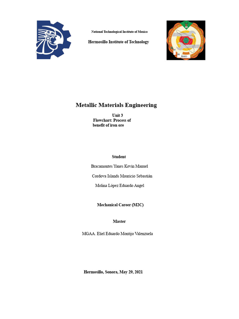 Flowchart of Iron | PDF