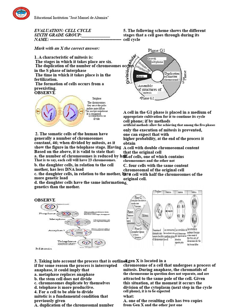 Evaluation Mitosis Sixth Grade | PDF | Mitosis | Life Sciences