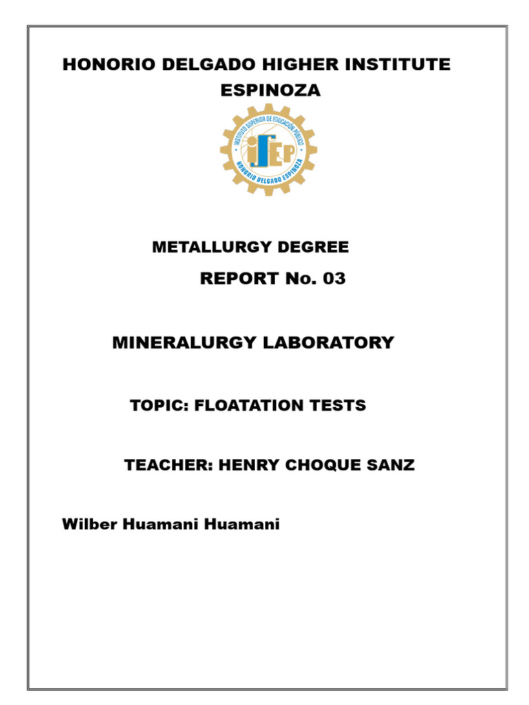 Flotation Tests | PDF | Chemical Kinetics | Equations