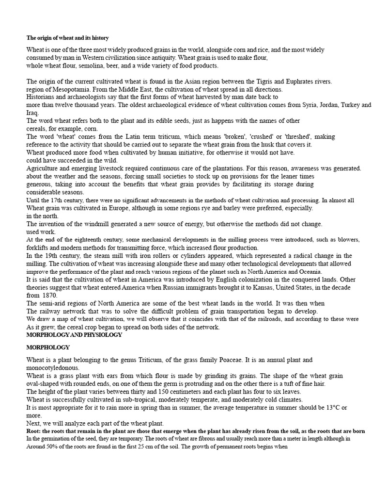 Origin and History of Wheat | PDF | Wheat | Cereals