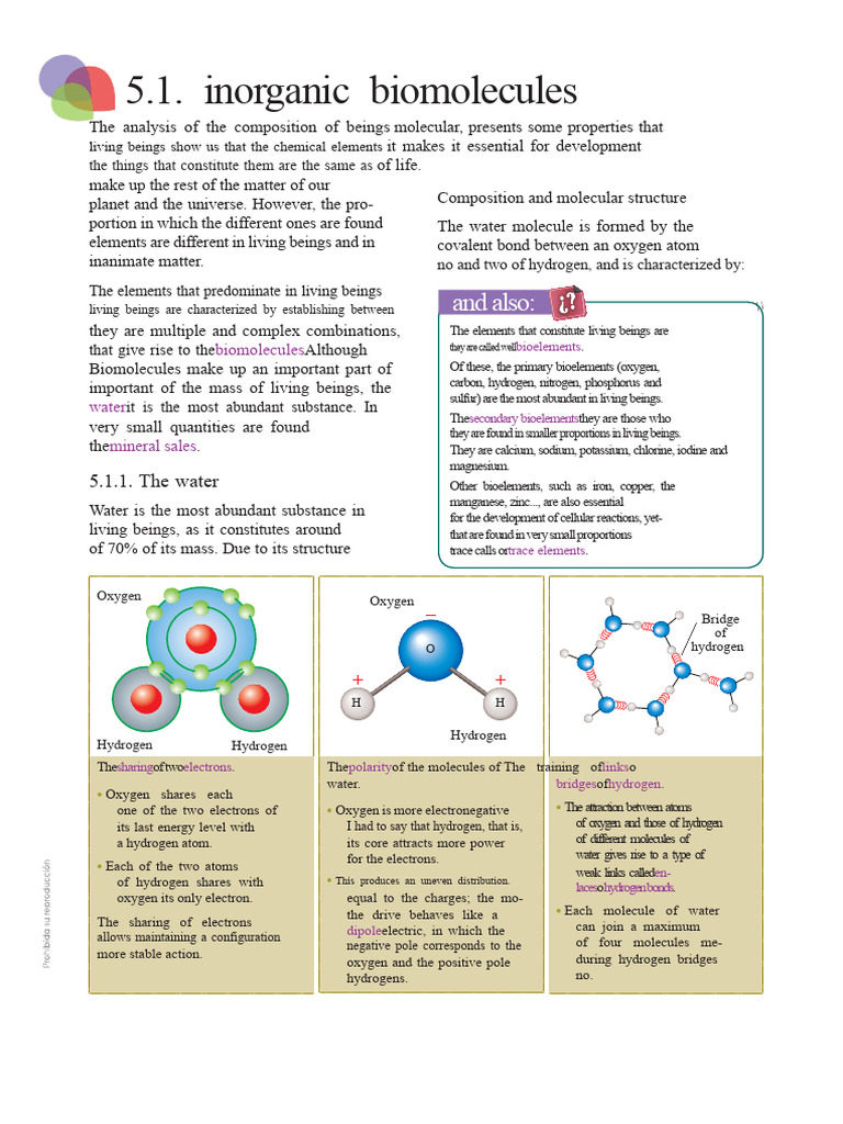 Inorganic Biomolecules | PDF | Water | Salt (Chemistry)