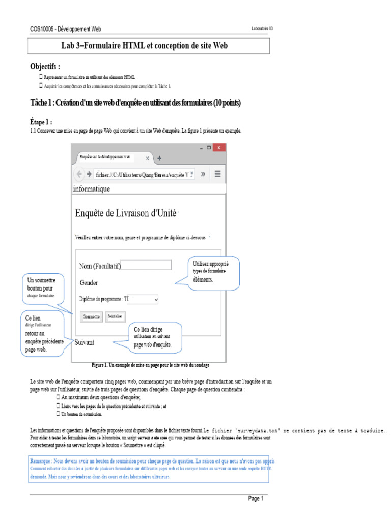 Formulaire HTML pour site d'enquête | PDF | Internet | Internet et Web