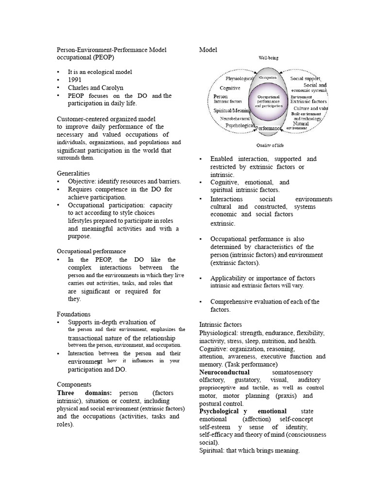 Person, Environment, Occupational Performance Model (Peop) | PDF ...