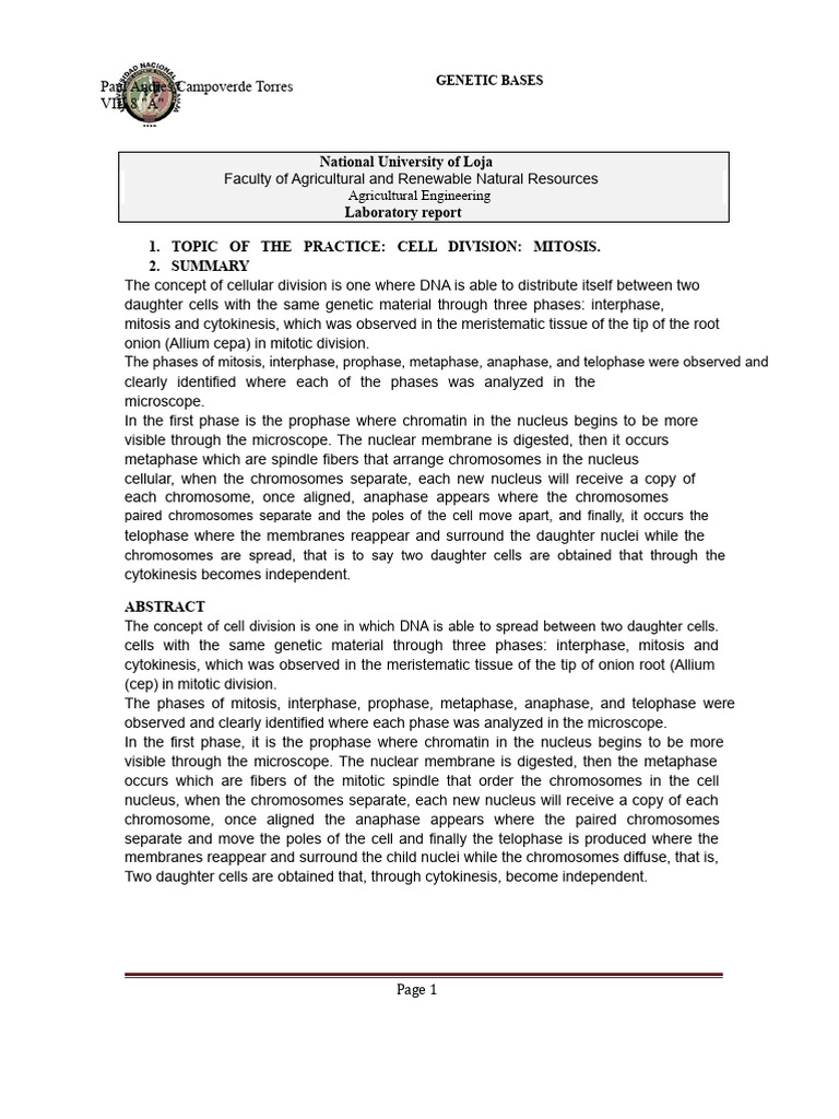 Paul Campoverde - Laboratory Report - Cell Division in Onion. | PDF ...