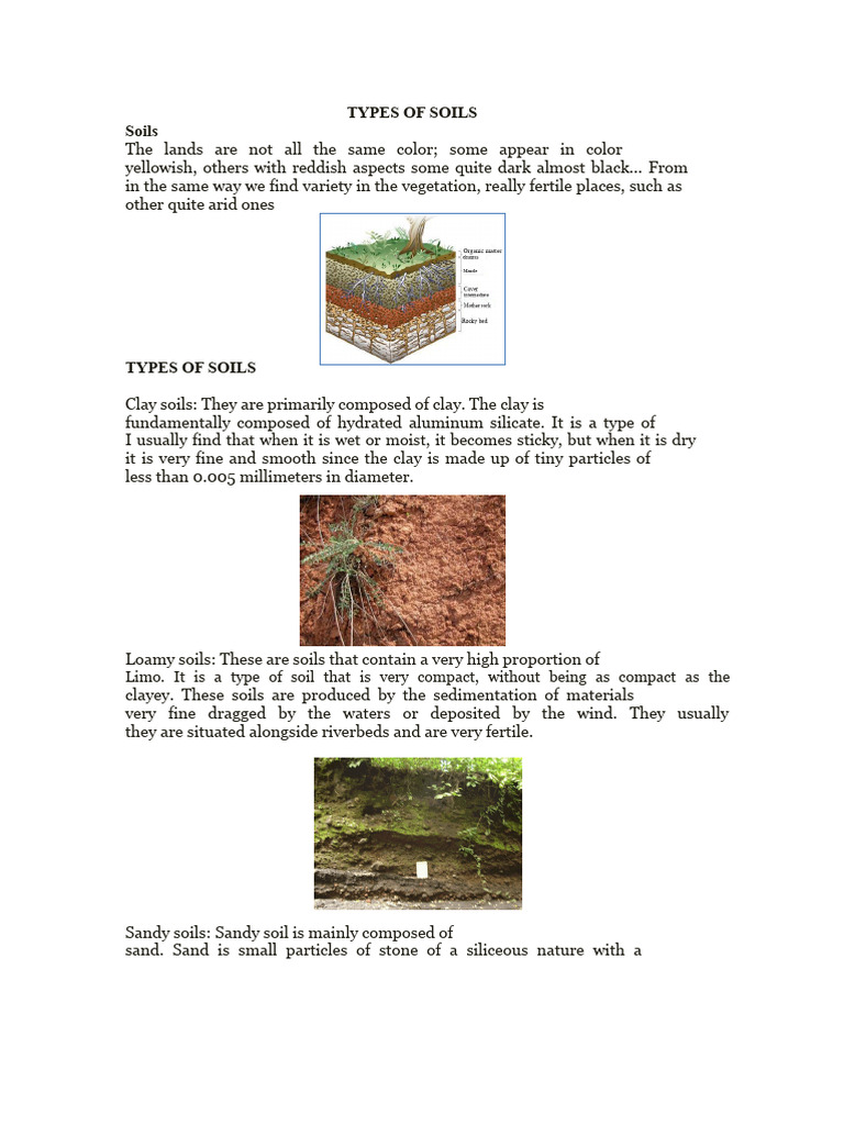 Types of Soils | PDF