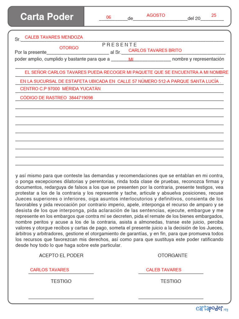 Carta Poder para Representación Legal | PDF