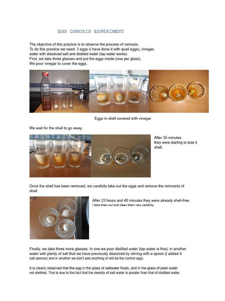 Egg Osmosis Experiment | PDF | Osmosis | Unit Operations