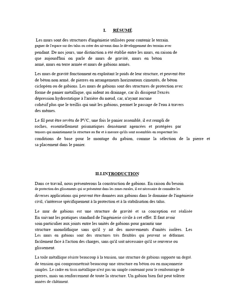 Rapport Sur Les GAVIONES | PDF | Ingénierie civile | Génie du bâtiment