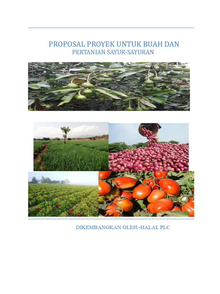 Proposal Proyek Pertanian Buah Sayuran | PDF