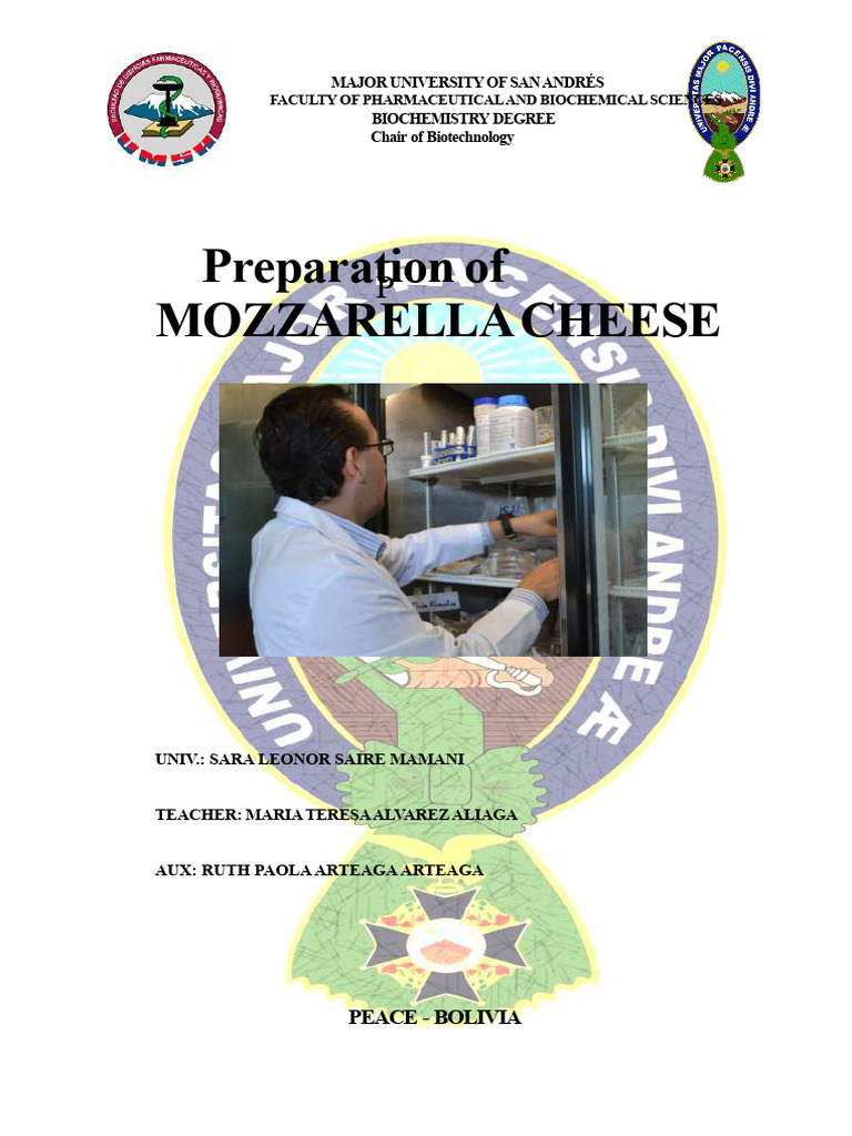 Mozzarella Cheese Production Process | PDF | Cheese | Milk