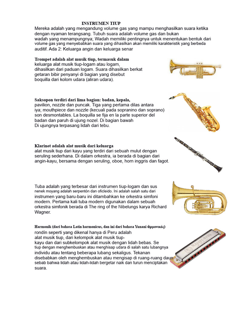 Panduan Lengkap Instrumen Musik Tiup dan Petik | PDF