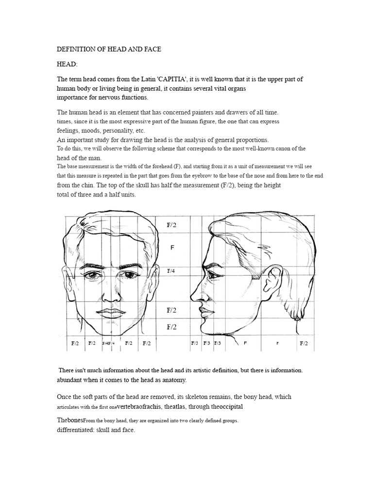 Definition of Head and Face | PDF | Skull | Face