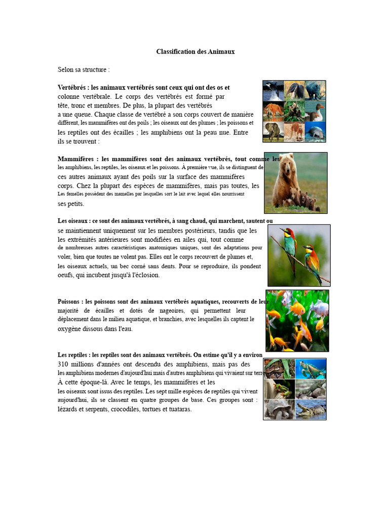 Classification des Animaux : Vertébrés et Invertébrés | PDF ...