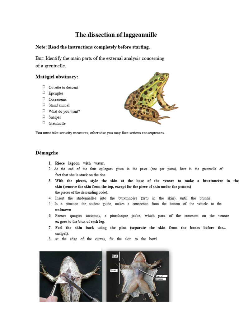 Frog Dissection Guide: Steps & Organs | PDF