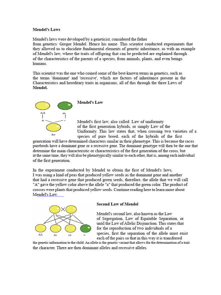 Mendel's Laws | PDF | Dominance (Genetics) | Genotype