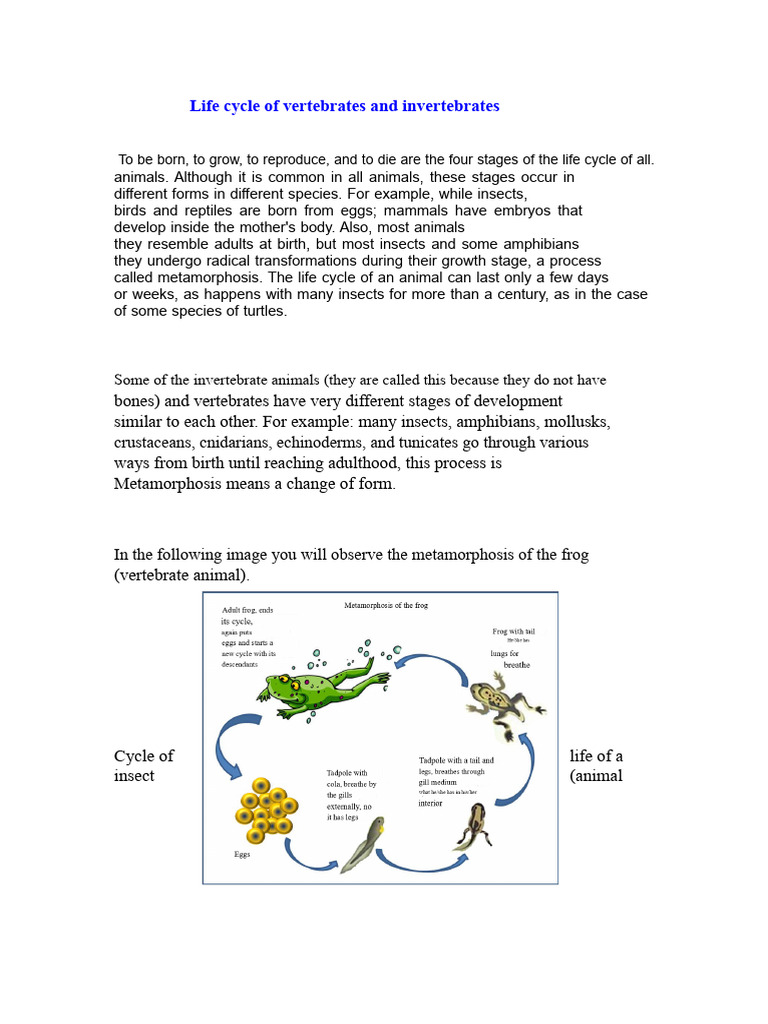 Vertebrate and Invertebrate Life Cycles | PDF | Sexual Reproduction ...